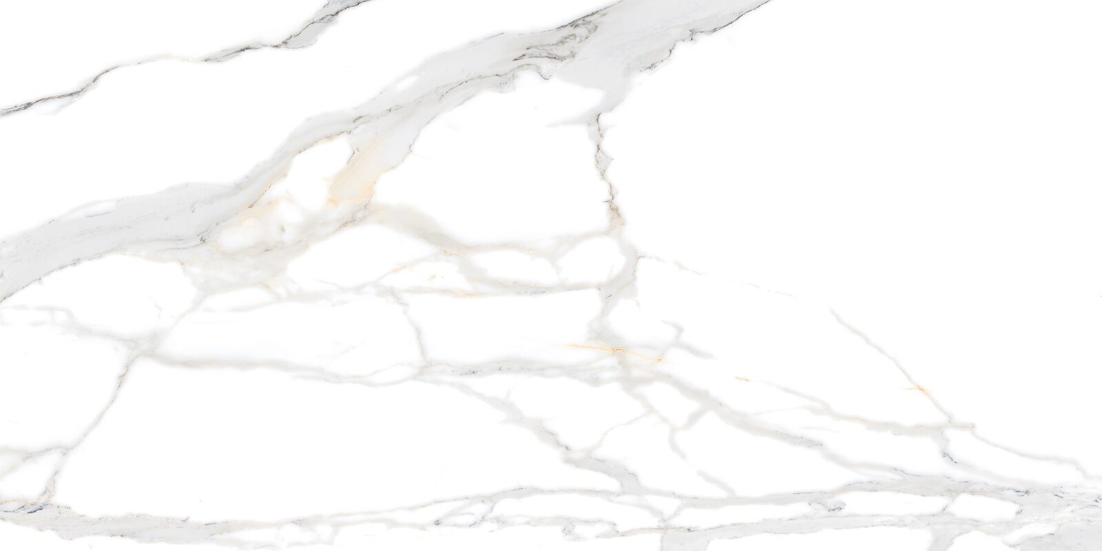 CALACATTA SILVER - Hindgres