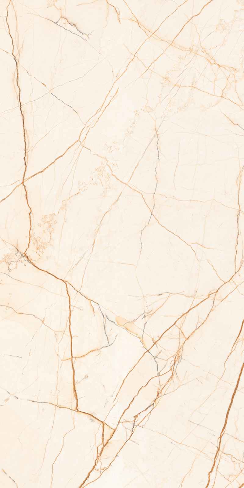 MOSS IVORY - Hindgres